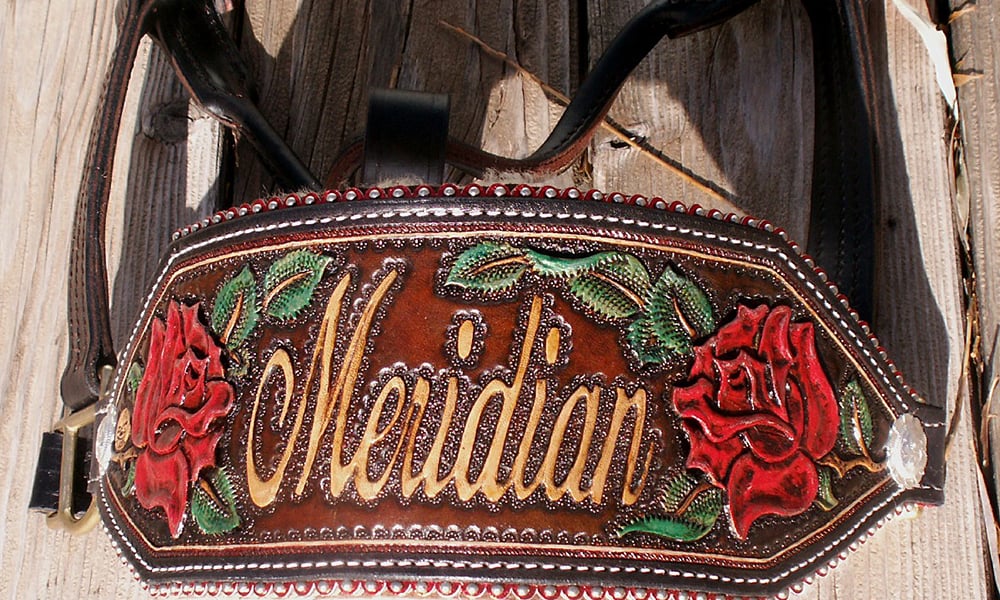 Custom Leather Bronc Halters For Horses - COWGIRL Magazine