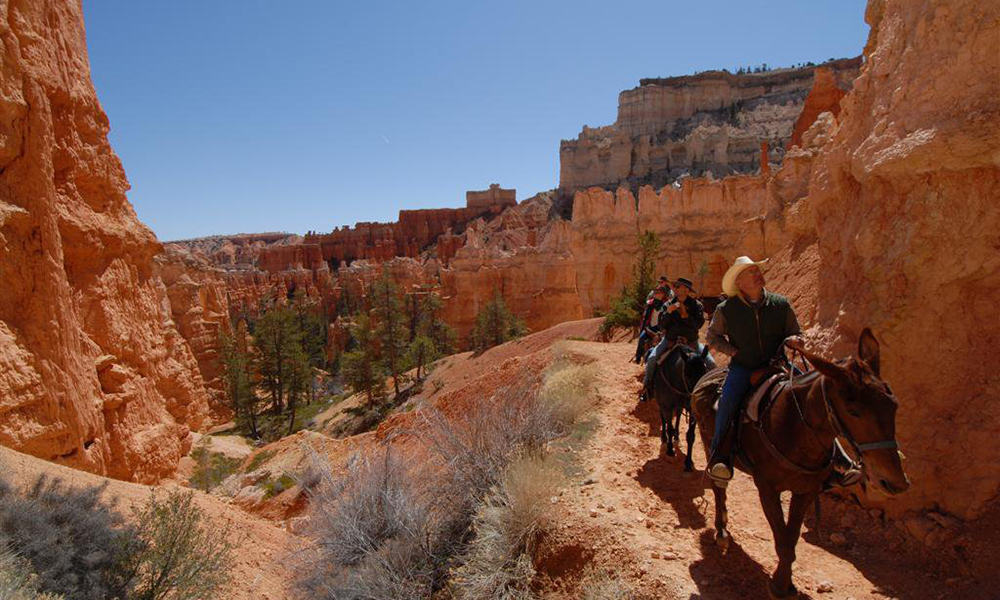 Scenic Horseback Rides Around The World - COWGIRL Magazine