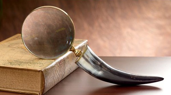 Horn Decor for Your Home - COWGIRL Magazine