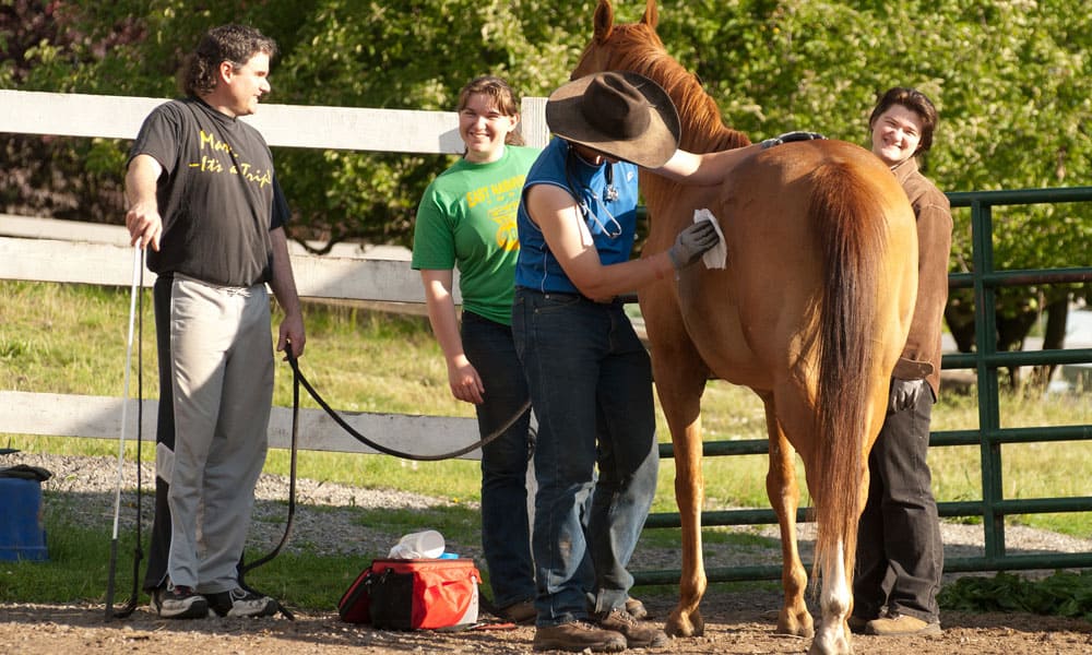 5 Essentials For Your Horse's First-Aid Kit - COWGIRL Magazine