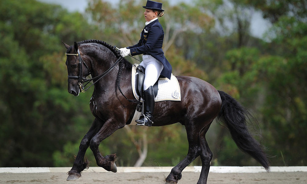 5 Fun Facts About The Friesian Horse - COWGIRL Magazine