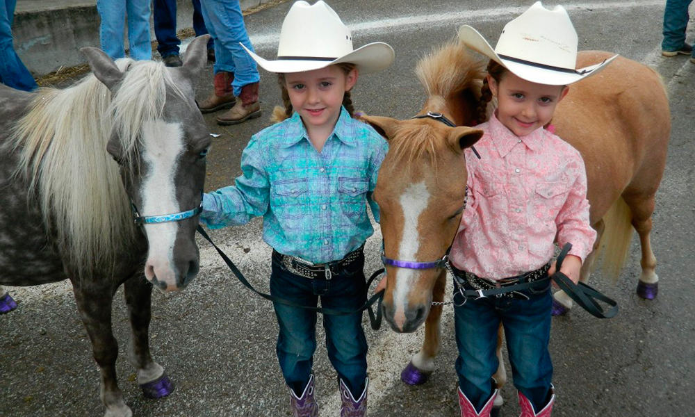 Miniature Horses That'll Make Your Day - COWGIRL Magazine