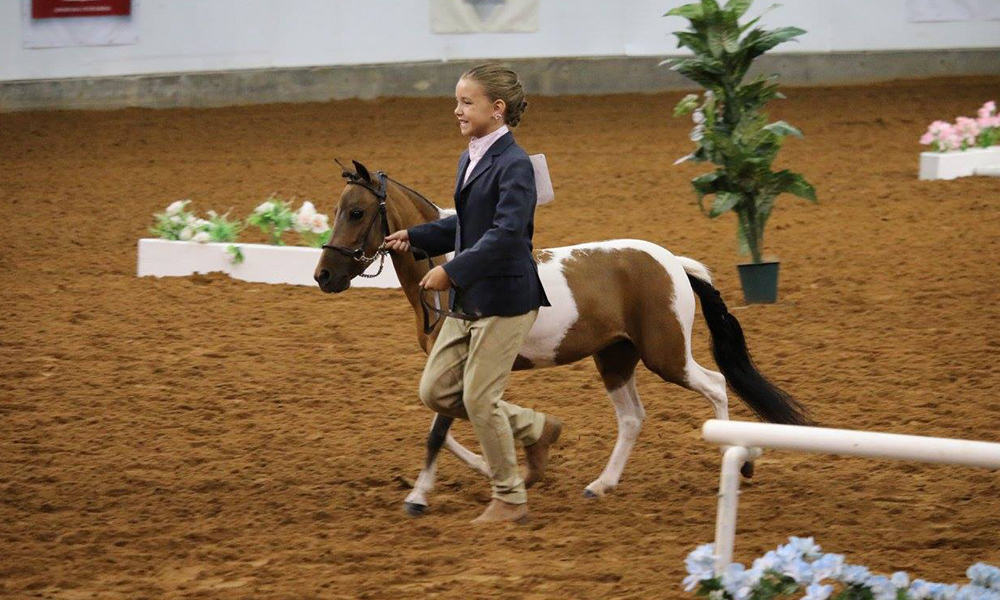 The Countdown Is On: The Pinto World Championship - COWGIRL Magazine