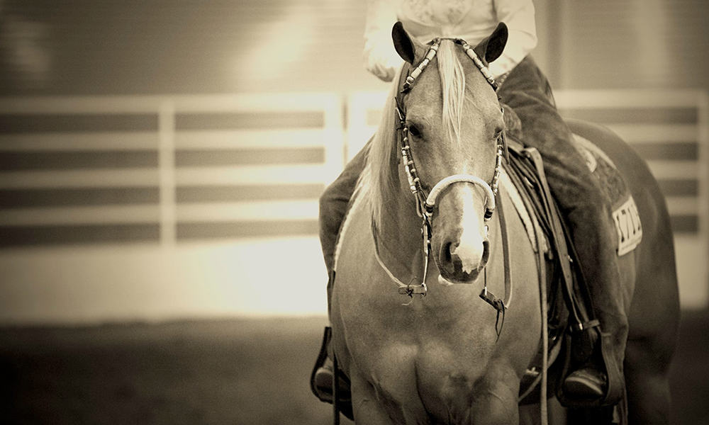 The Countdown Is On: The Pinto World Championship - COWGIRL Magazine