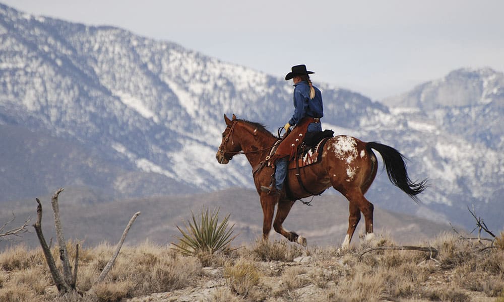 Appaloosas: The Ultimate Comeback Story - COWGIRL Magazine