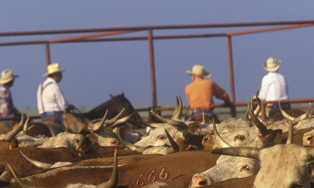 Women Of The Land - COWGIRL Magazine