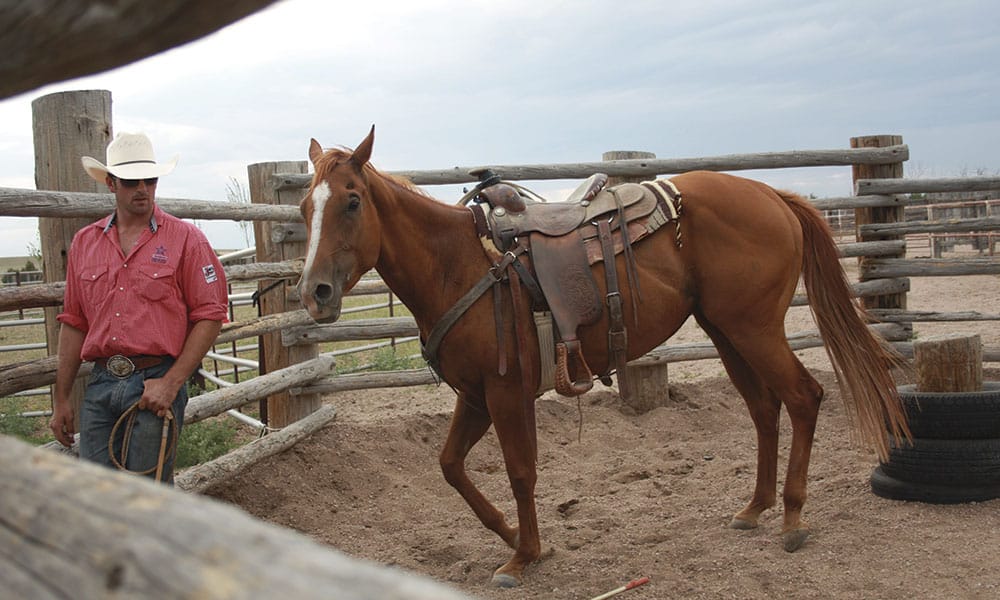 Ranch Geldings - COWGIRL Magazine