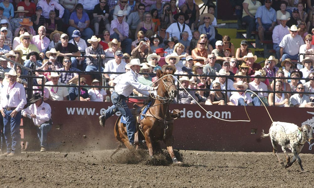Trevor Brazile Parts Ways With Full-Time Rodeo - COWGIRL Magazine