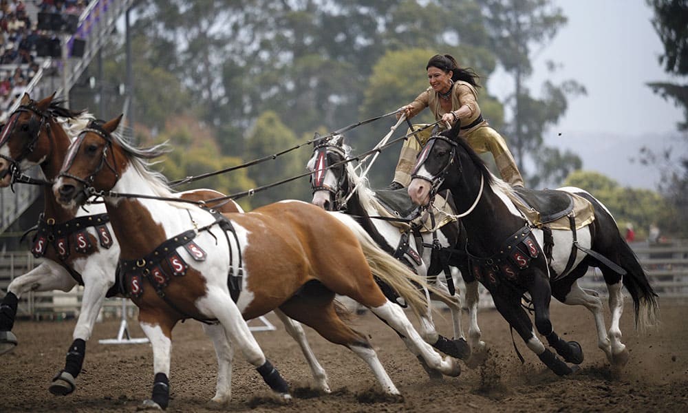 Sally Bishop: Trick Rider & Stuntwoman - COWGIRL Magazine