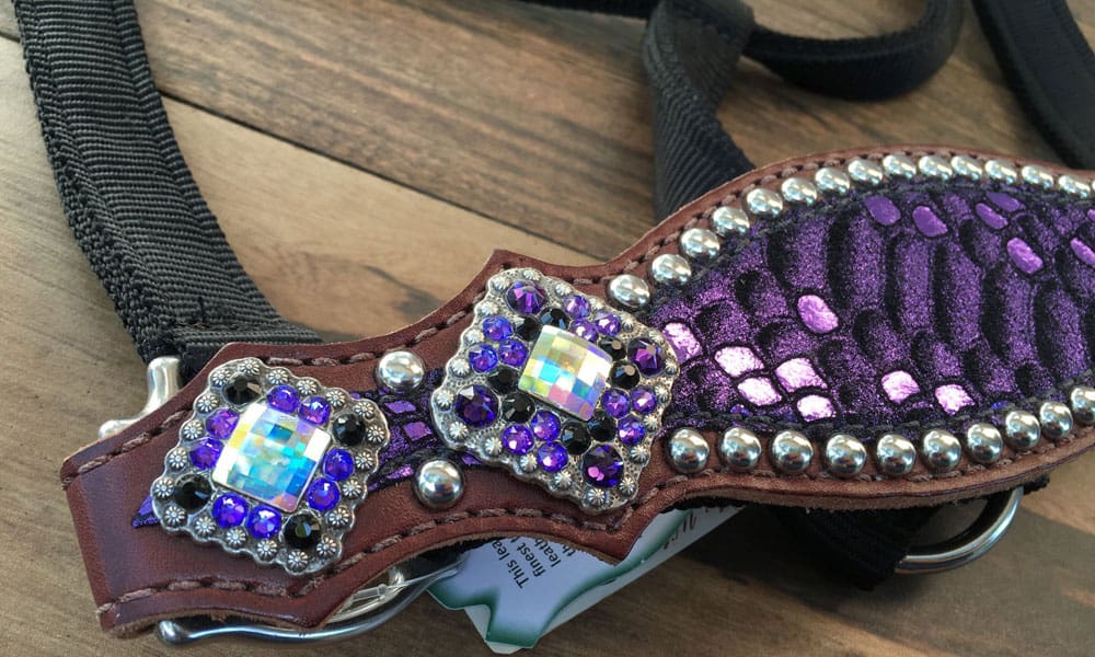 A Mystic Purple Tack Collection For Your Horse - COWGIRL Magazine