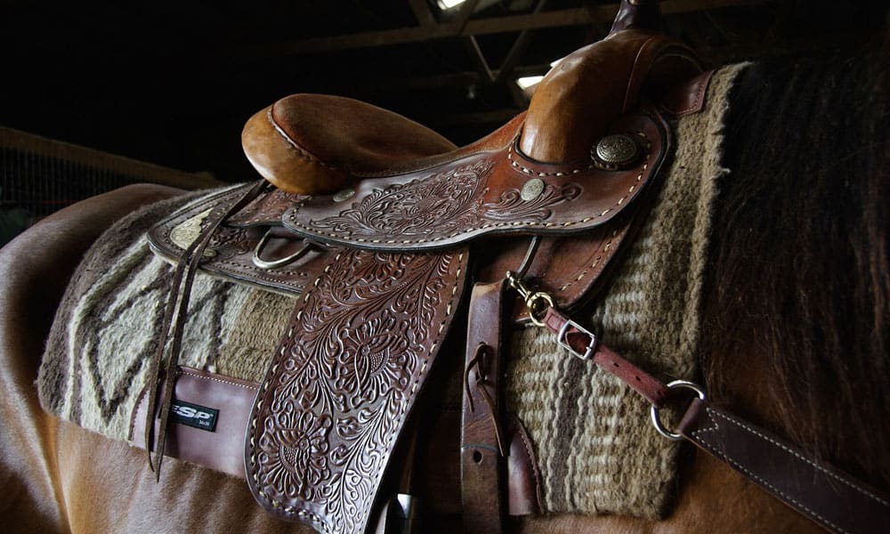 Pros And Cons Of Purchasing A Saddle With A Suede Seat - COWGIRL Magazine