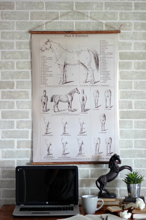 3 Horse Themed DIY Projects With Big Style - COWGIRL Magazine