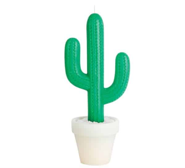 Give The Perfect Gift With Cactus Accessories - COWGIRL Magazine