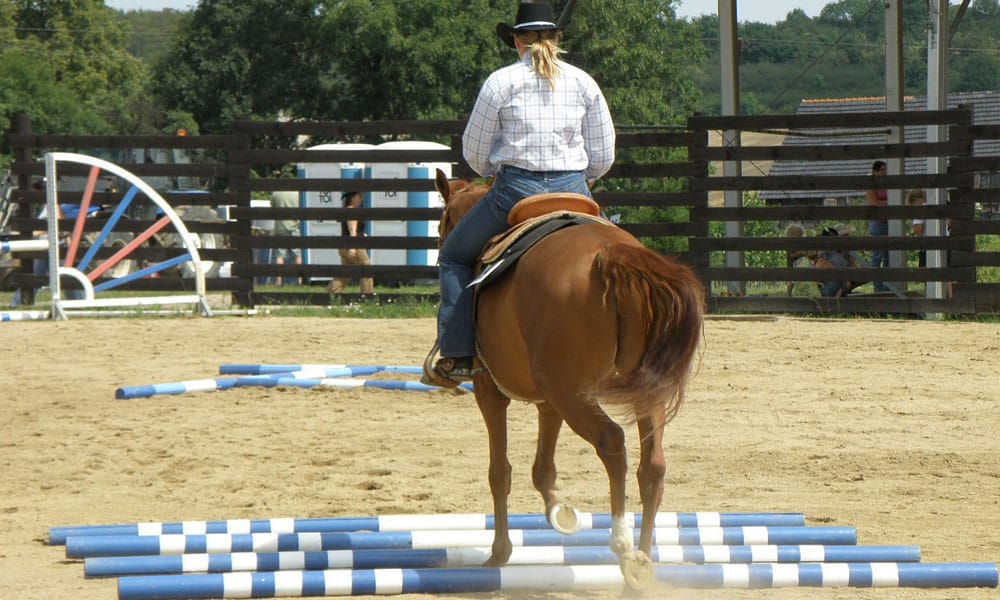 Strengthen Your Horse's Back With These Exercises - COWGIRL Magazine