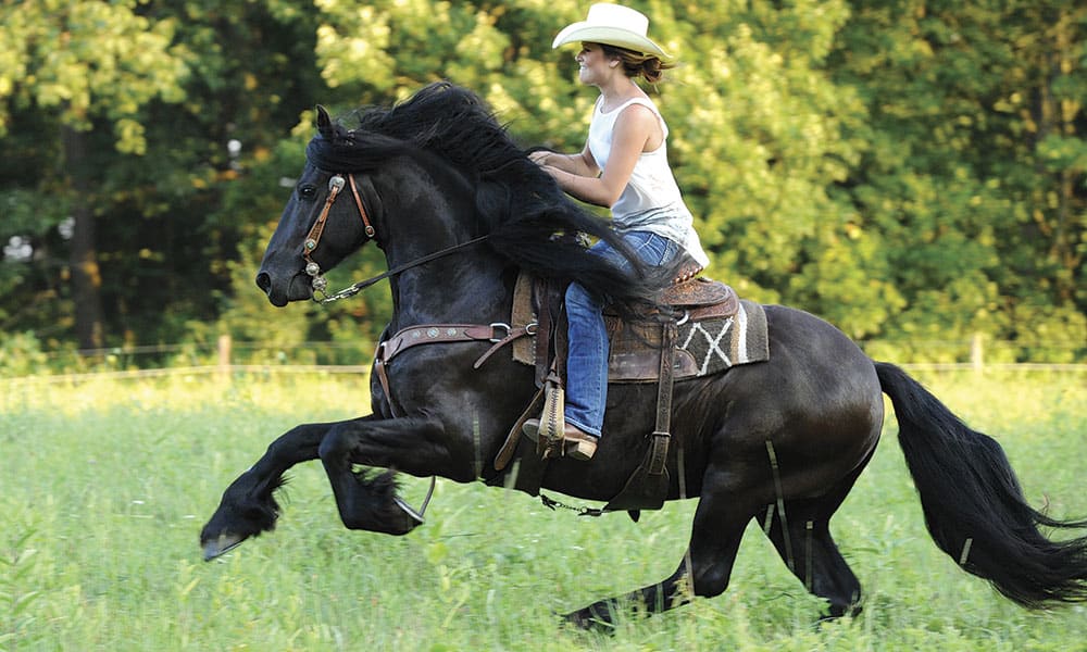 Friesian Horses: Legacy of A Midnight Colored Mount - COWGIRL Magazine
