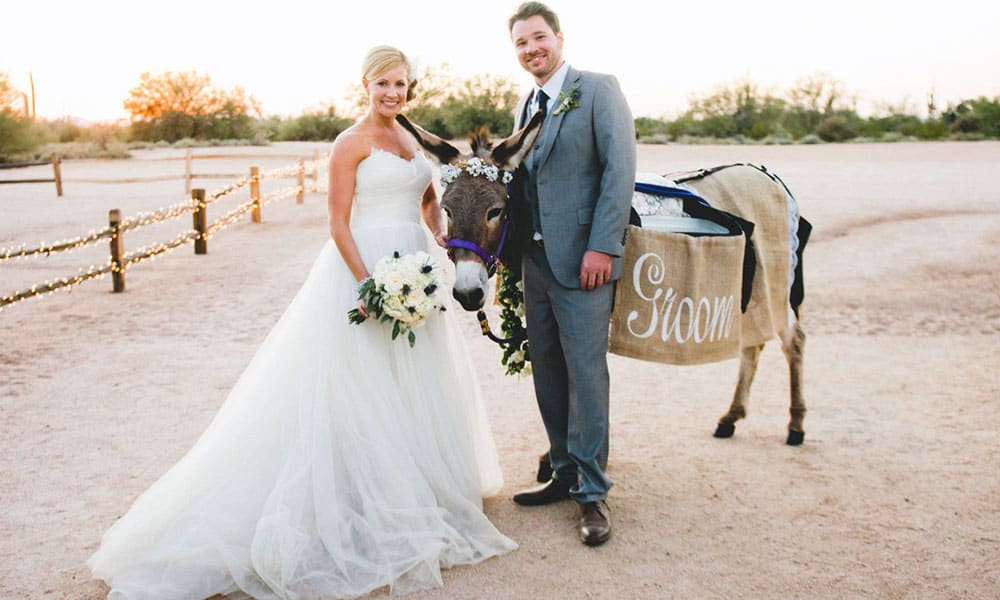 Adorable Wedding Burros Will Steal Your Heart - COWGIRL Magazine