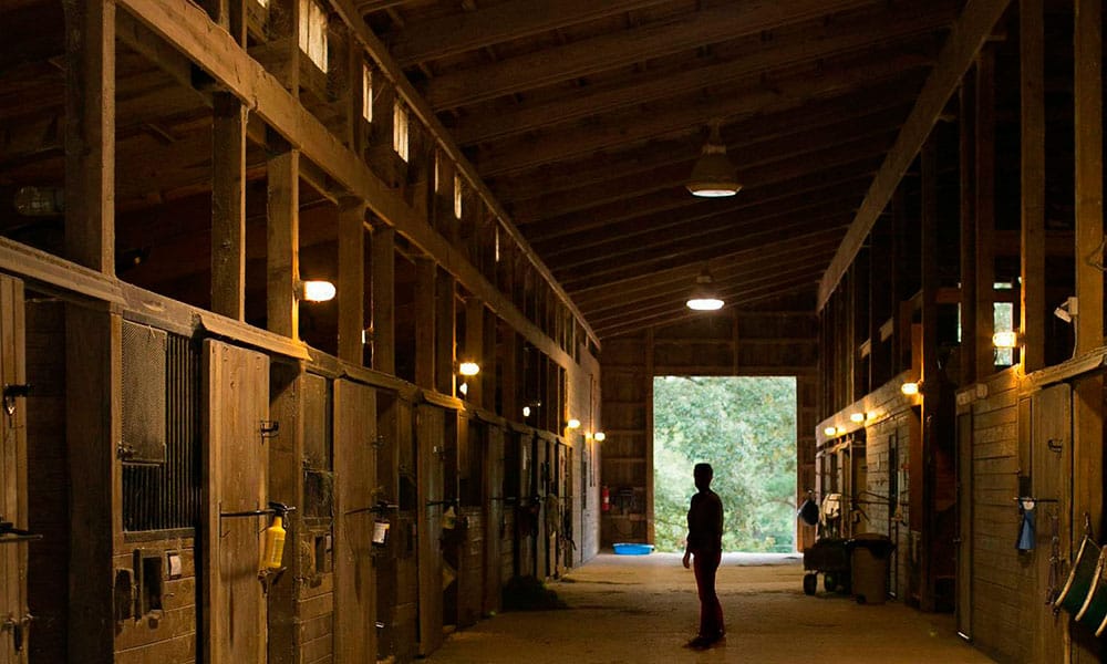 7 Horse Stables That Raise The Bar - COWGIRL Magazine