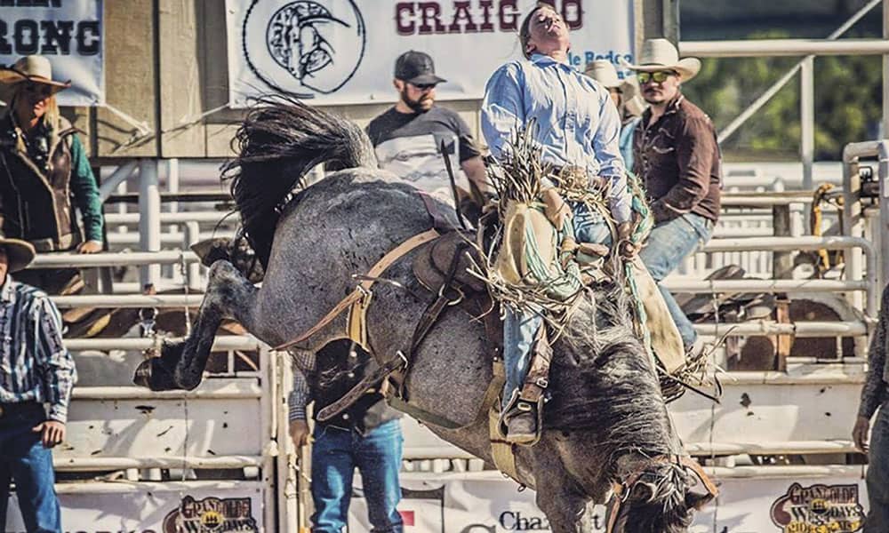 Update: Cowgirls On RIDE TV - COWGIRL Magazine