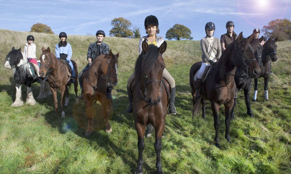 5 Horse TV Series You Must Watch - COWGIRL Magazine