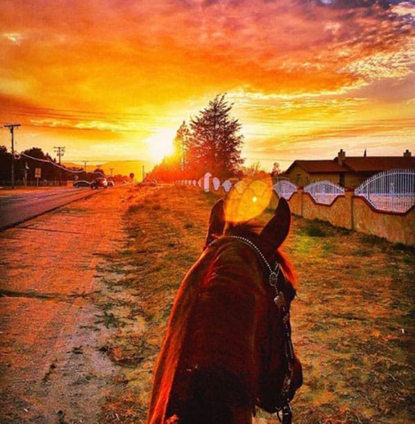 10 Photos By Riding on Roan That Will Awaken Your Cowgirl Soul ...