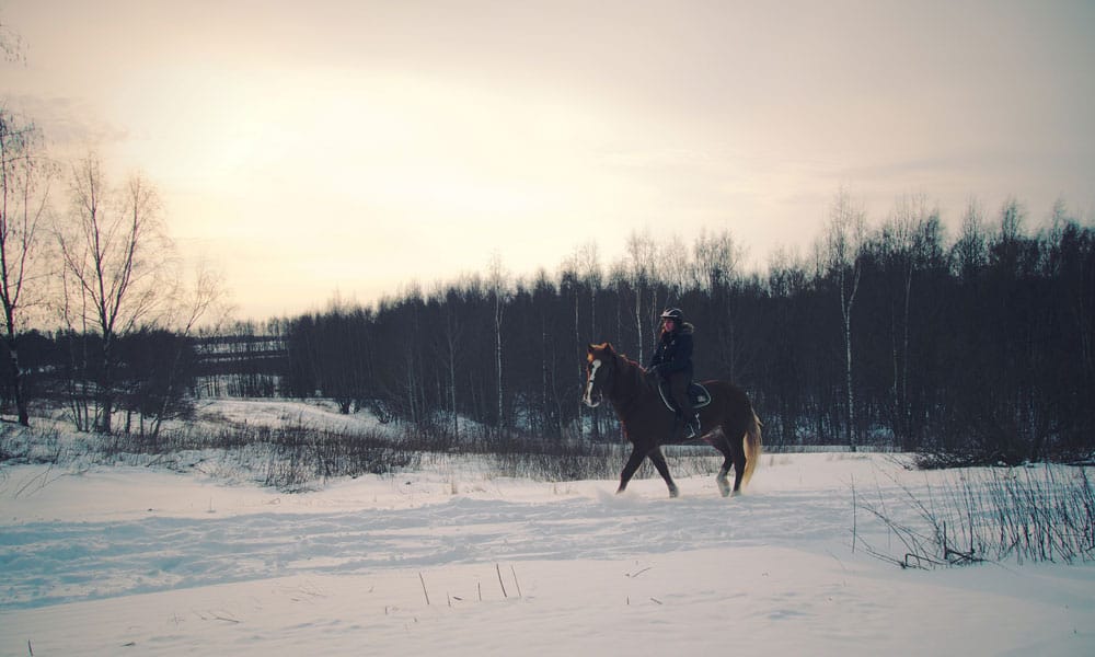 Beat The Cold With These Winter Riding Tips - COWGIRL Magazine