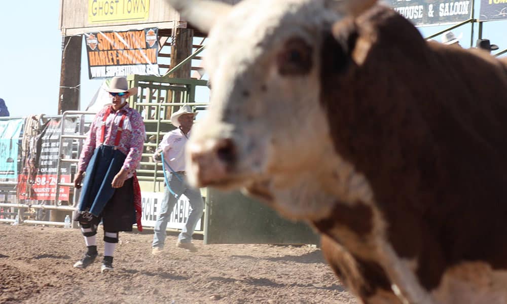 The Life Of A Rodeo Bullfighter - COWGIRL Magazine