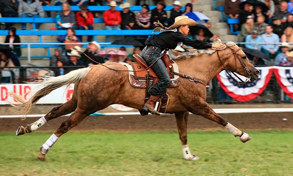 These Are The Barrel Racers You Need To Know Before The 2017 Wrangler ...