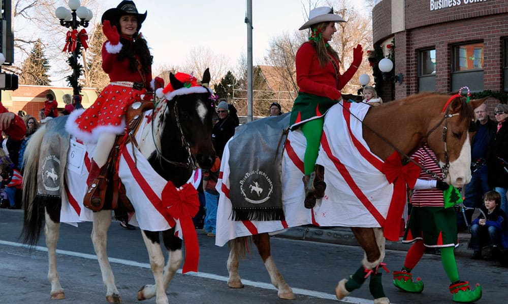 10 Horses Who Need To Have A Talk With Their Owners This Christmas ...