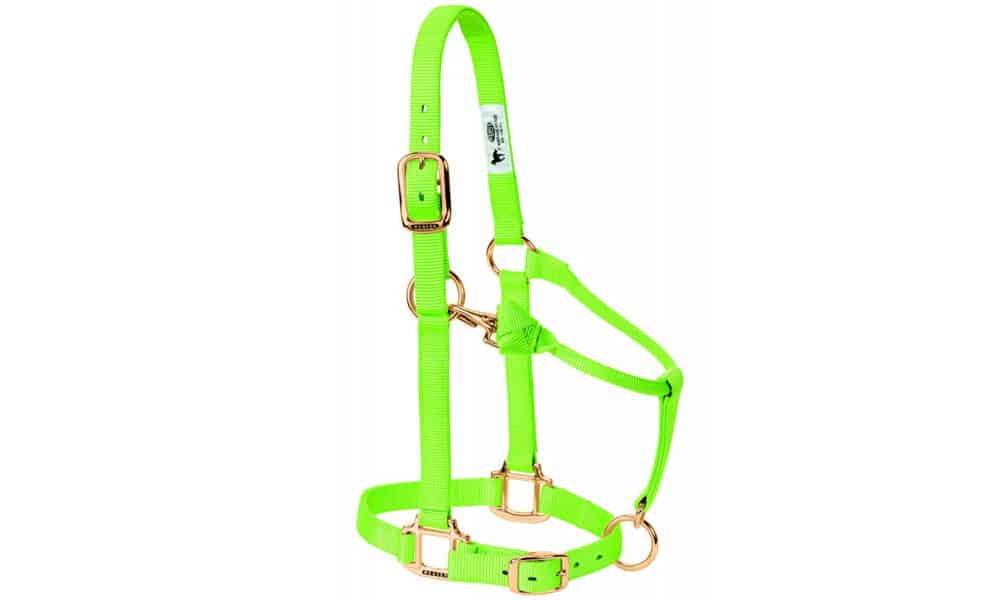 Go Green With This Lime Horse Tack! - COWGIRL Magazine
