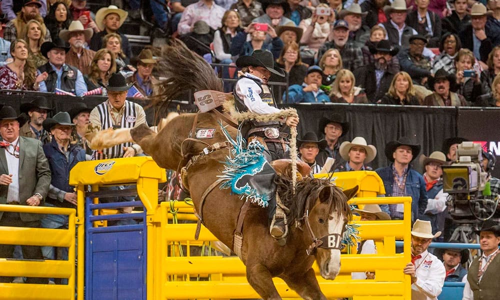 As The WNFR Wraps Up In Vegas, These Saddle Bronc Riders Are Neck And ...