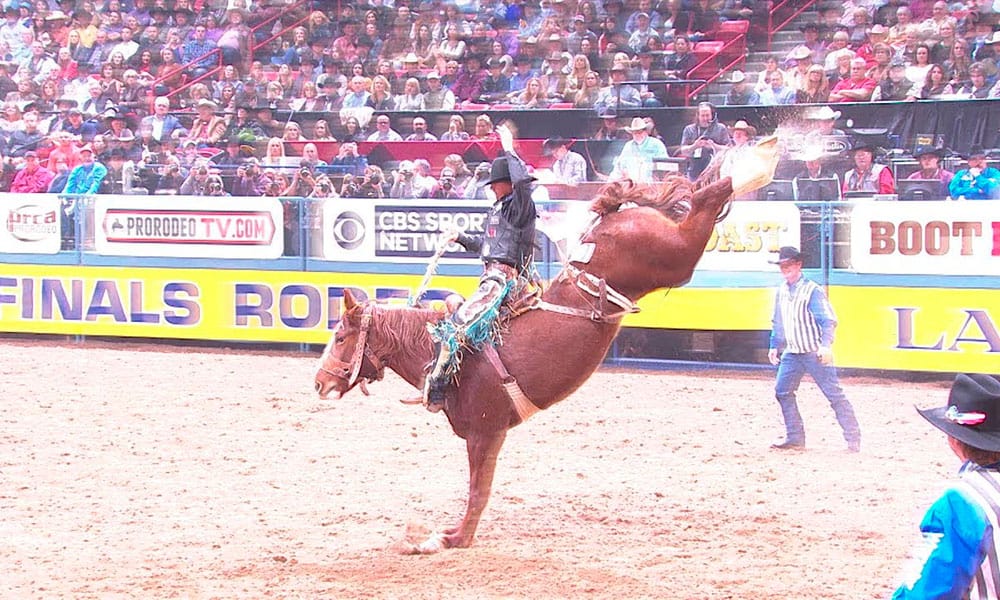 Highlights From The 2017 Wrangler National Finals Rodeo - COWGIRL Magazine