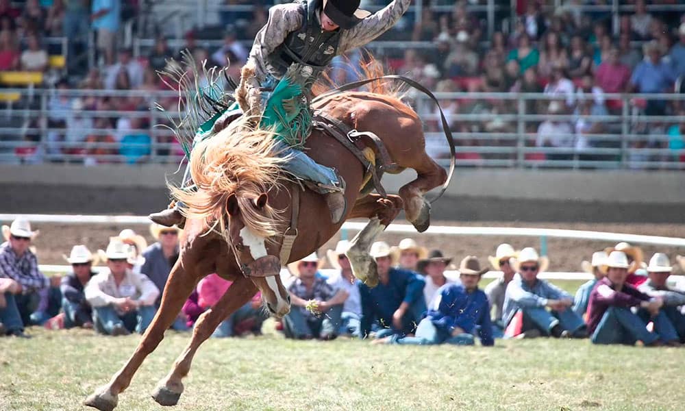 Top 10 Rodeos Of 2017 - COWGIRL Magazine