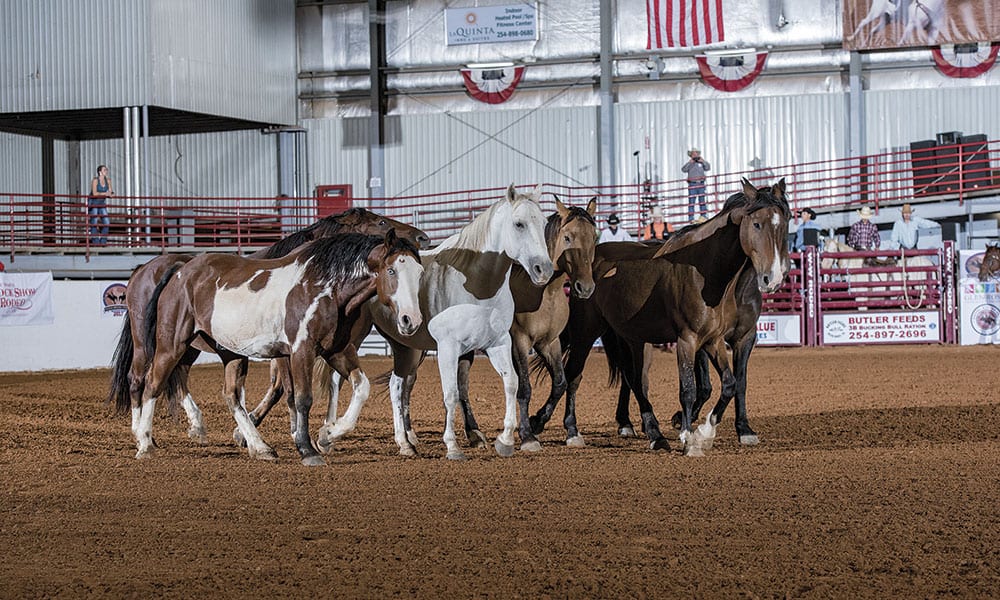 Eight Seconds to Glory - COWGIRL Magazine