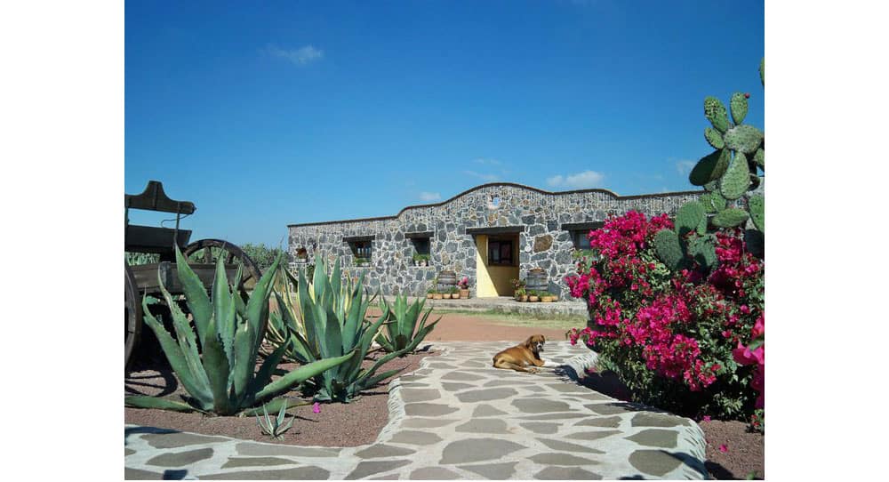 Who Needs A Horseback Riding Escape This Winter? - COWGIRL Magazine