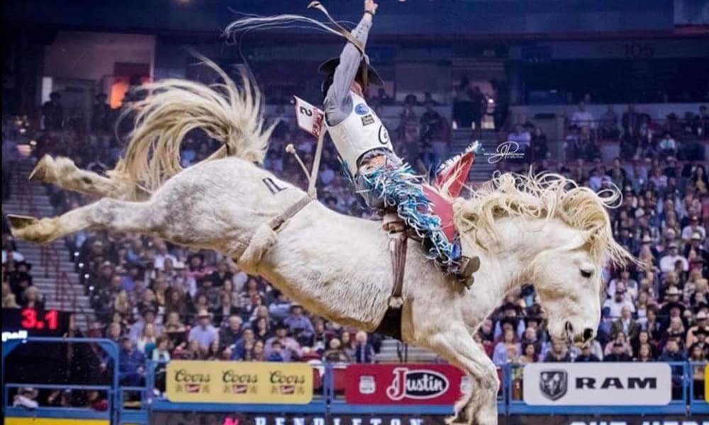 The 2017 Bareback Horse Of The Year Is Already Winning 2018 - COWGIRL ...