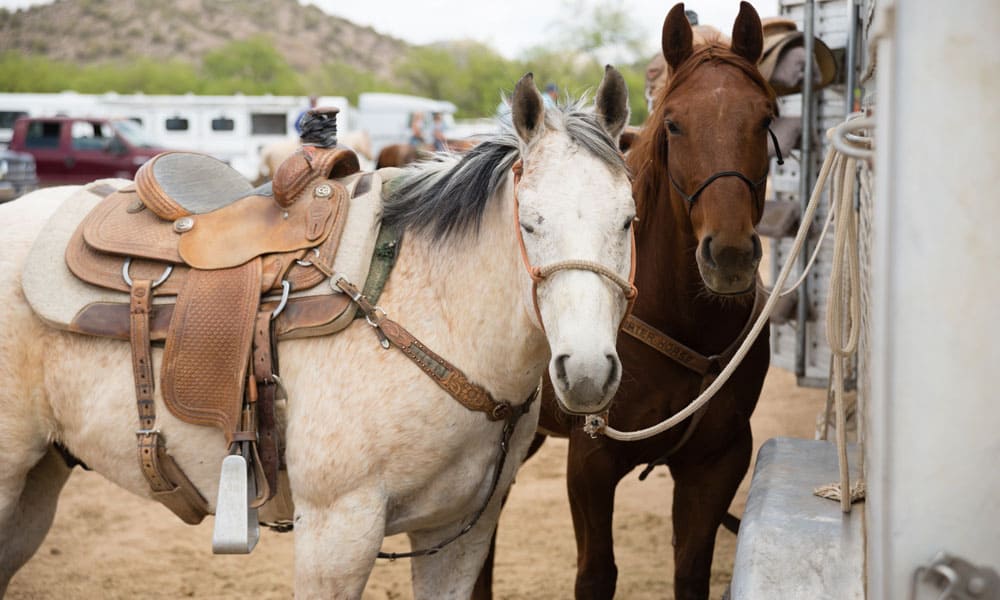 How To Tack Up A Horse Western Style - COWGIRL Magazine