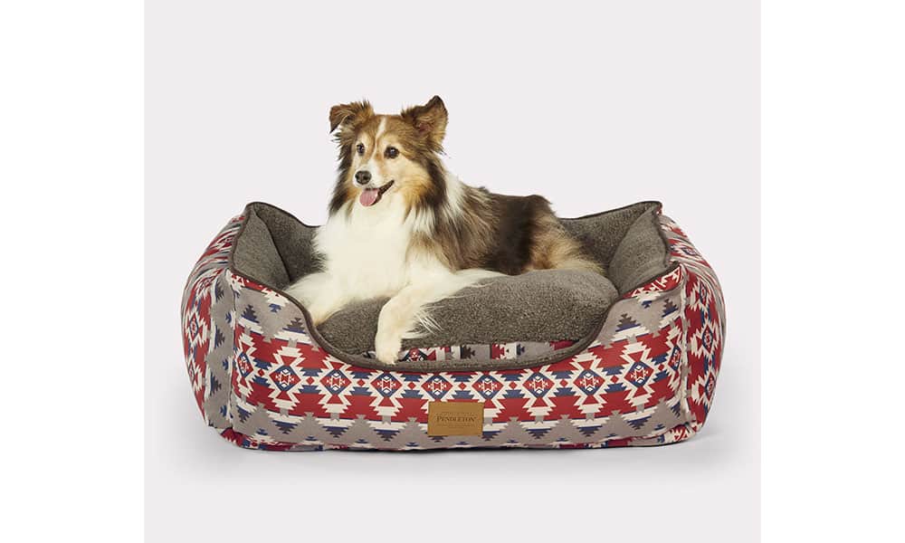 I Promise Your Dog Wants To Be A Pendleton Puppy!