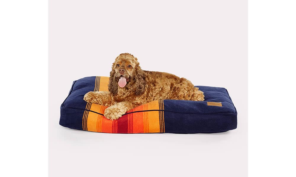 I Promise Your Dog Wants To Be A Pendleton Puppy!