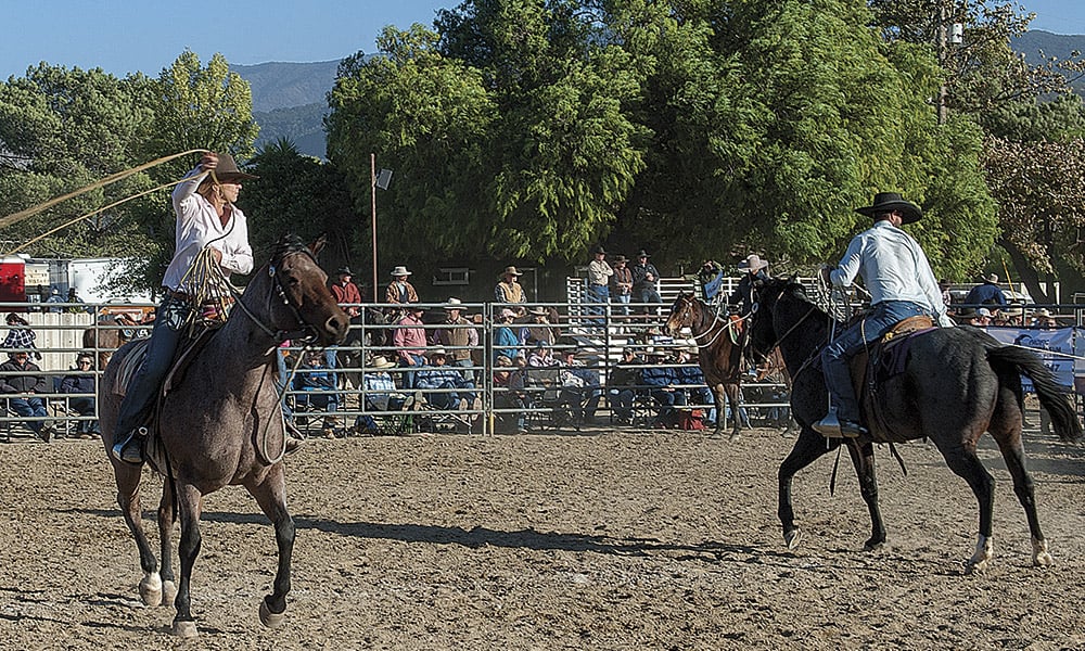 Ranch Roping With The Brannamans - COWGIRL Magazine