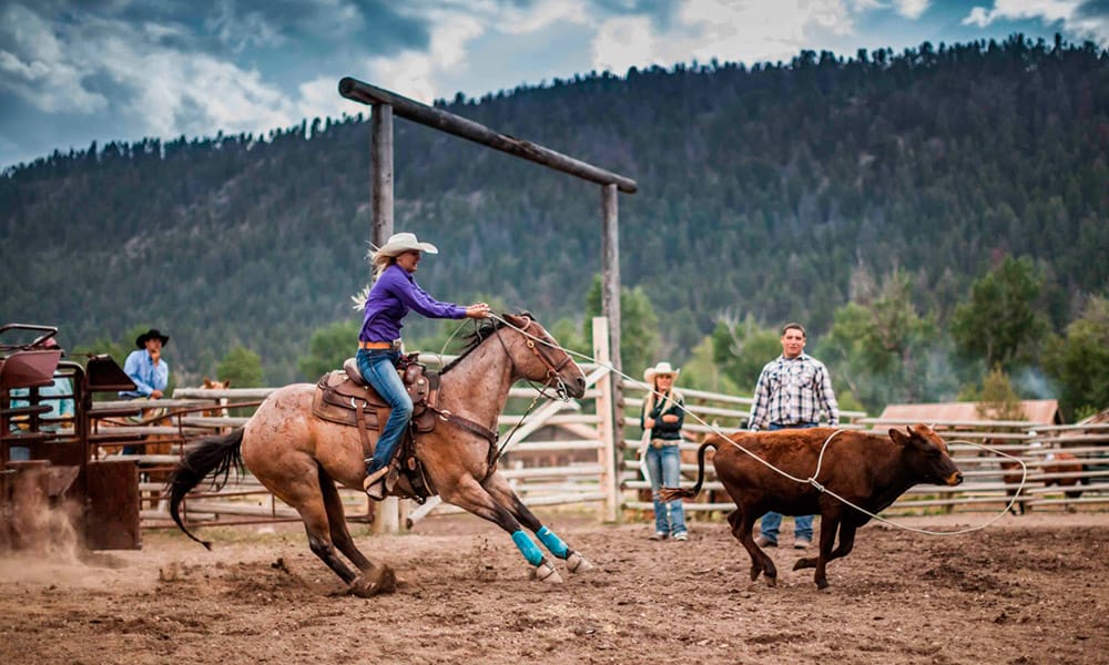 Breakaway Ropers Have A Big Reason To Celebrate Thanks To The WCRA ...