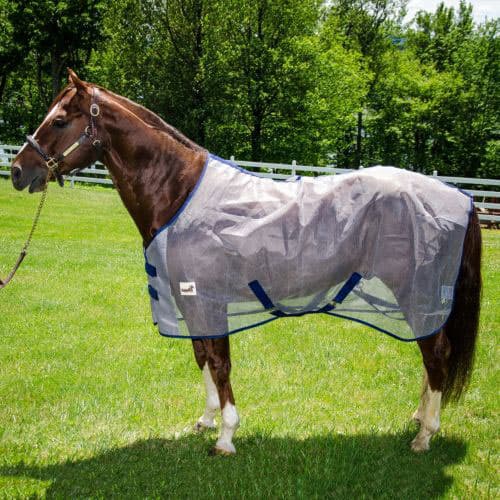 Shield Your Horse From Flies With These Sheets - COWGIRL Magazine