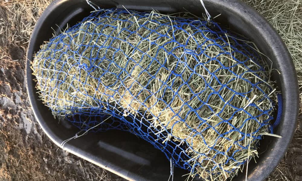 Save Money On Hay With These DIY Slow Feeders - COWGIRL Magazine