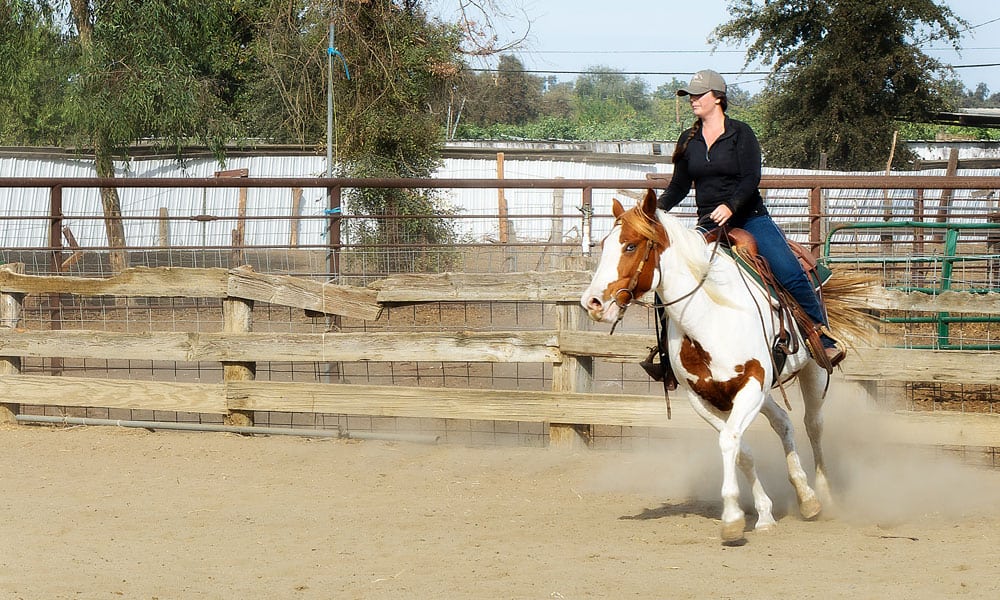Tackle Your Fear Of Loping With This Easy Exercise - COWGIRL Magazine