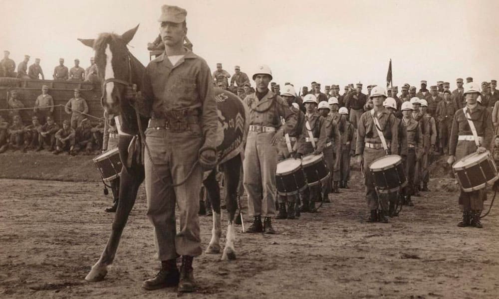 10 Incredible Photos Of Sergeant Reckless, The Most Decorated War Horse ...
