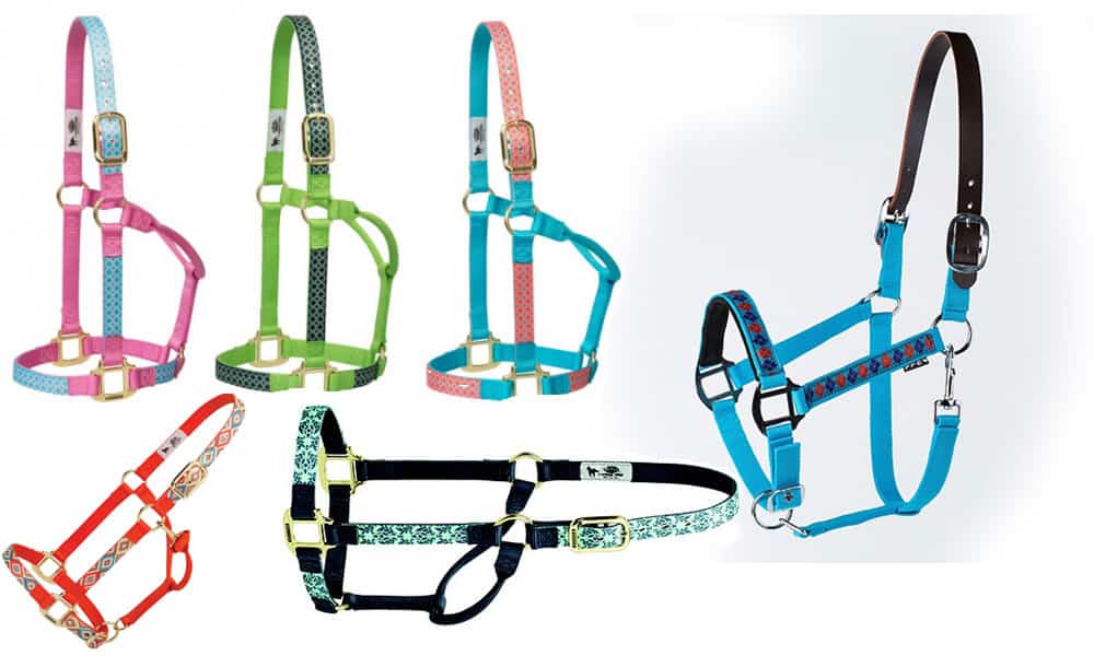 Your Horse Needs These Fun, Unique Halters - COWGIRL Magazine