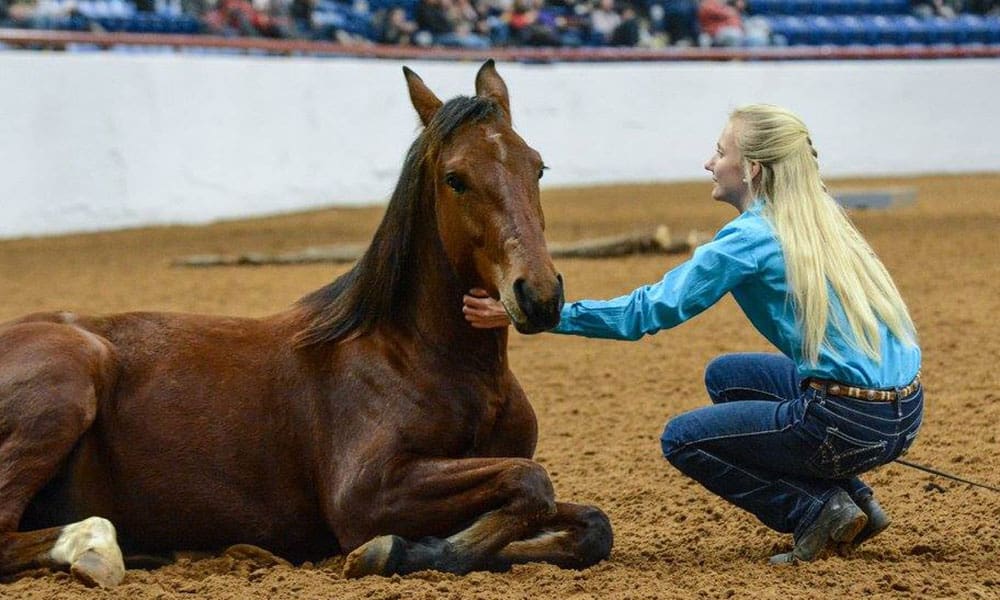 Don't Miss Out On Mustang Magic At The Fort Worth Stock Show! - COWGIRL ...
