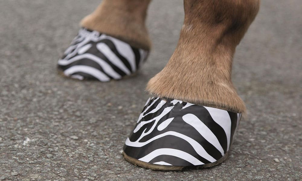 Have Fun With These Cute Hoof Decals! - COWGIRL Magazine