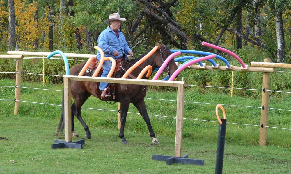 Can Your Horse Get Through These Trail Obstacles? - COWGIRL Magazine