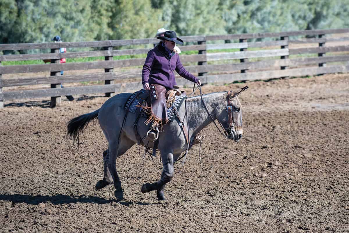 Cowgirl Cadillacs - COWGIRL Magazine