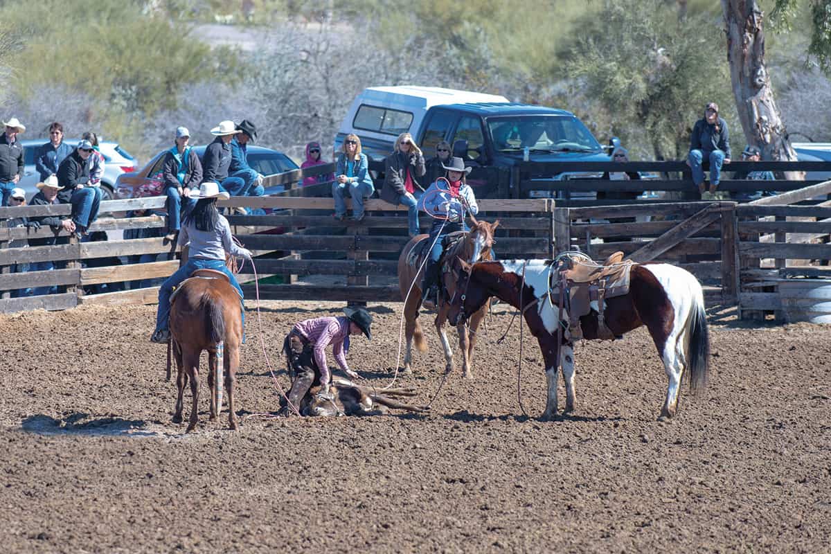 Cowgirl Cadillacs - COWGIRL Magazine